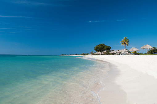 Andros Barrier Reef, Bahamas: la guida di viaggio