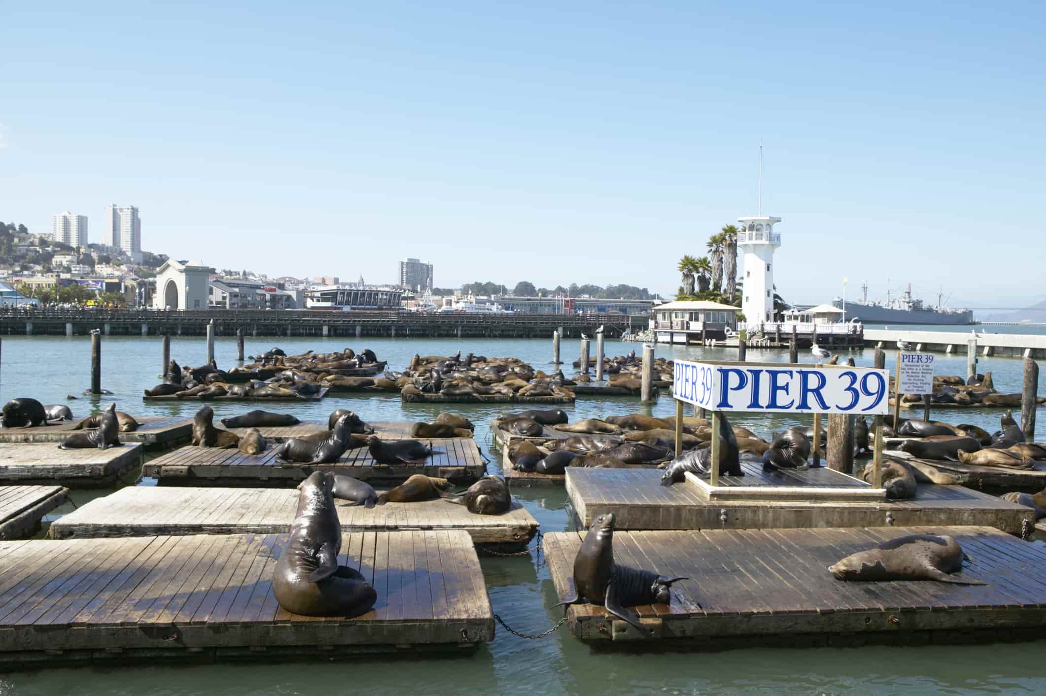 Pier 39 | Guida di Viaggio
